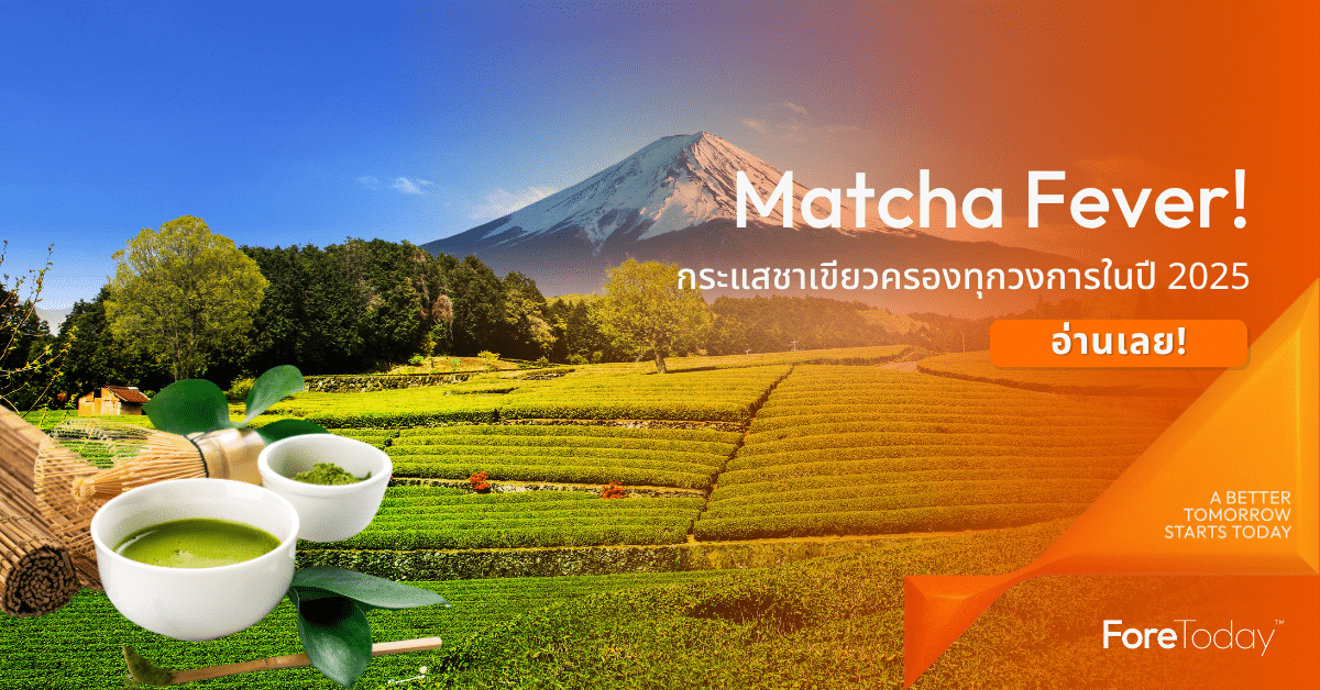 Matcha Fever! กระแสชาเขียวครองทุกวงการในปี 2025